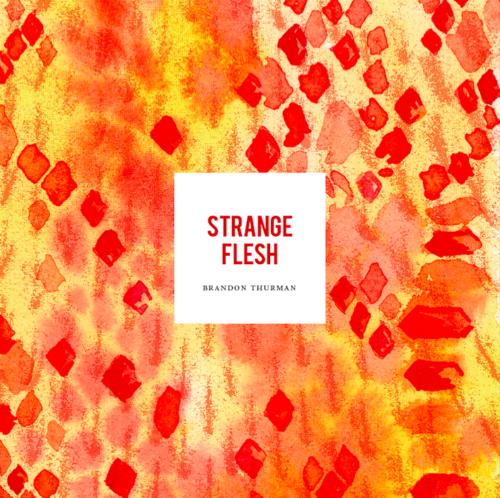 book – Brandon Thurman